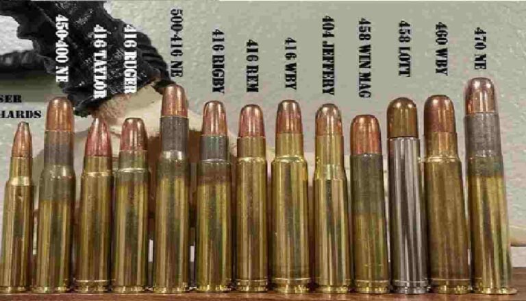 .416 Rigby – Ballistics, Rifles, Hunting & Ammo Guide 2026